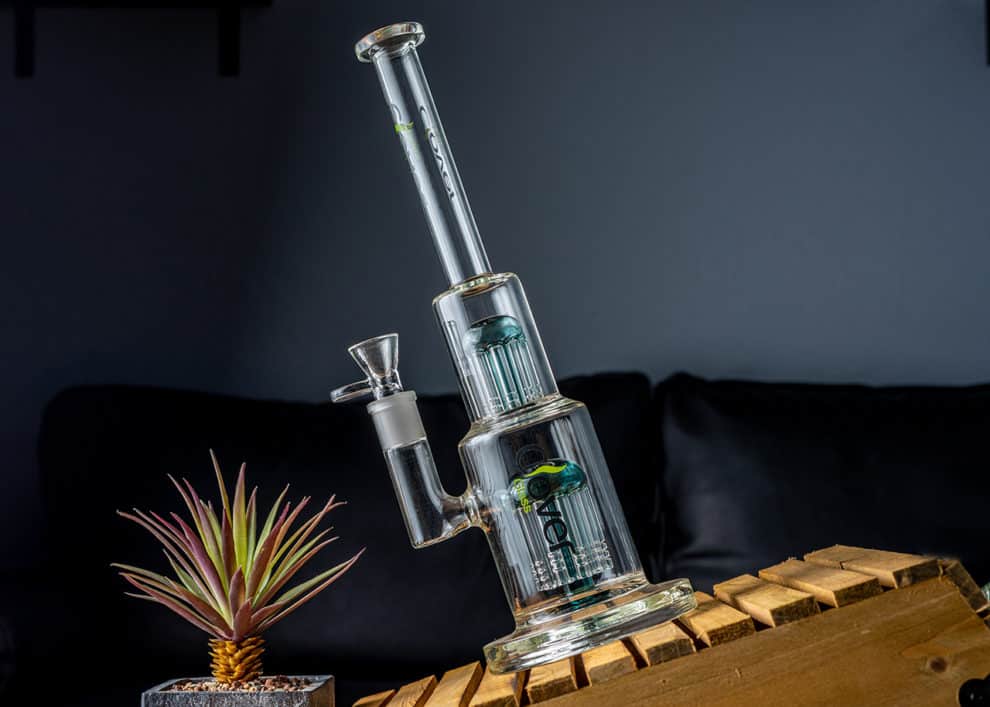 Clover 14" Dual Palm Tree Perc Bong - Smoke Cargo